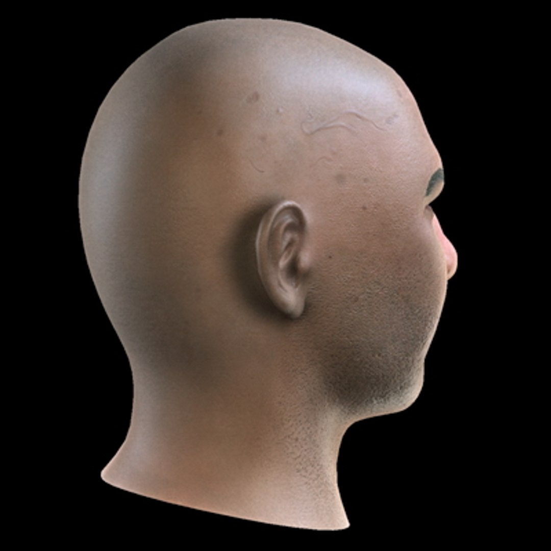 3d Model Realistic Male Head