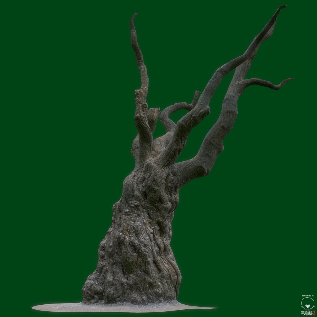 Free 3D Tree Trunk 2k - TurboSquid 1338093