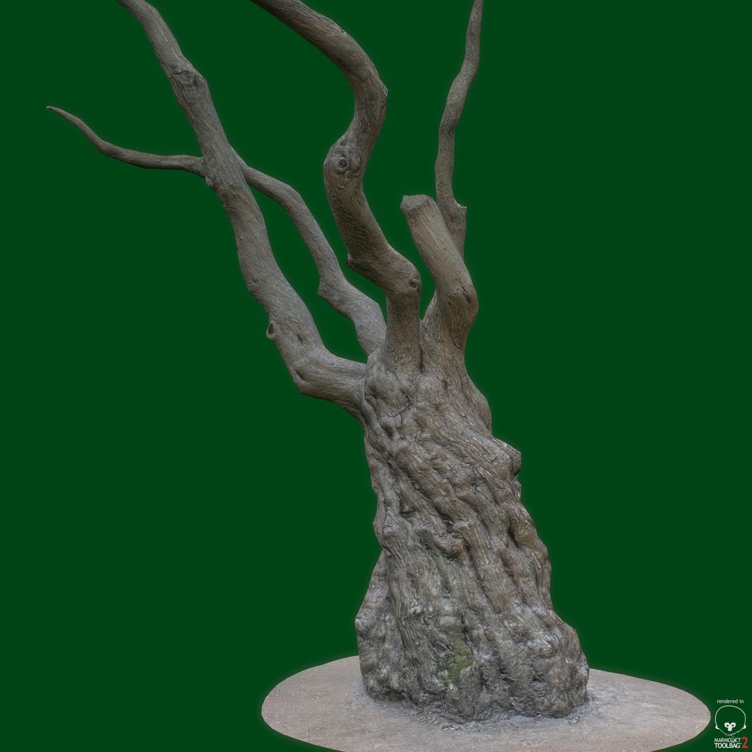 Free 3D Tree Trunk 2k - TurboSquid 1338093