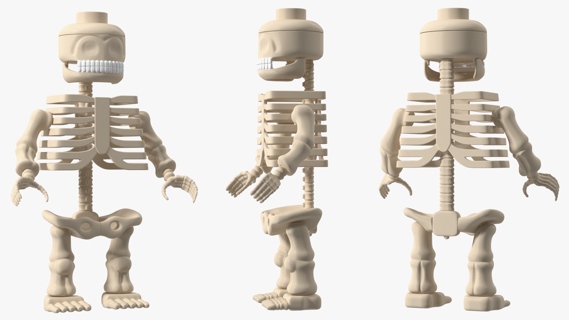 3D Anatomical LEGO Man Skeleton model - TurboSquid 1820862
