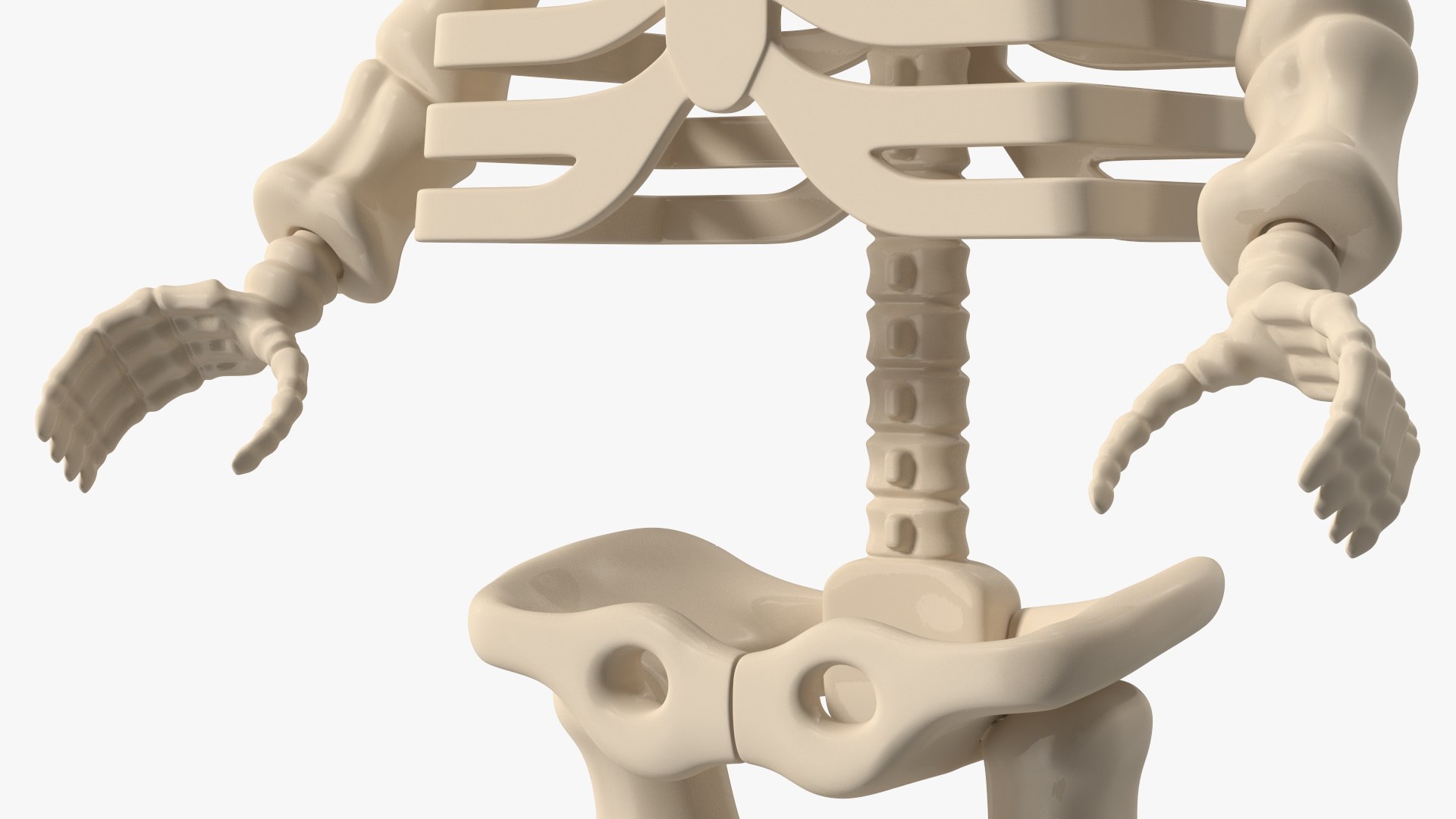 3D Anatomical LEGO Man Skeleton model - TurboSquid 1820862