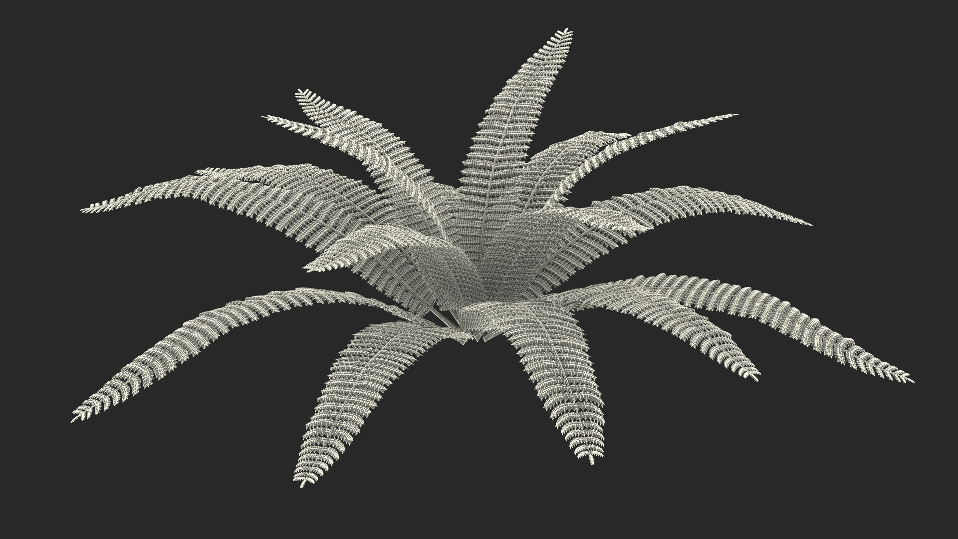 3D Model Tropical Fern Plant - TurboSquid 2238335