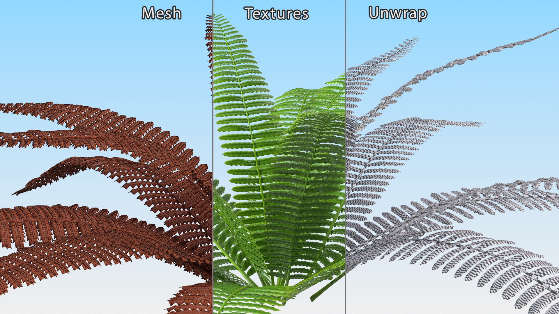3D Model Tropical Fern Plant - TurboSquid 2238335