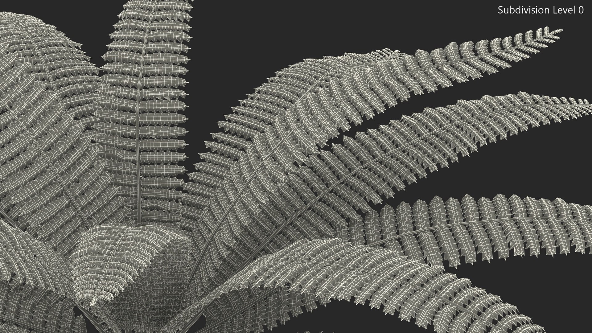 3D Model Tropical Fern Plant - TurboSquid 2238335