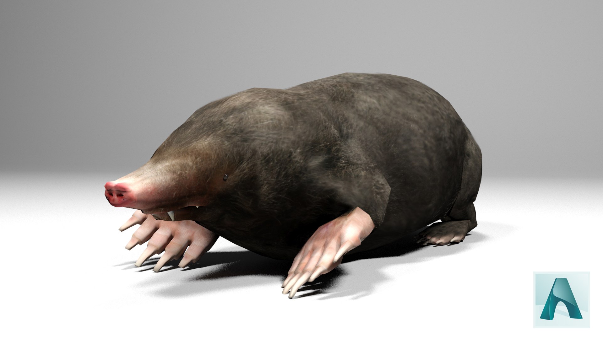 3D Mole - TurboSquid 1919133