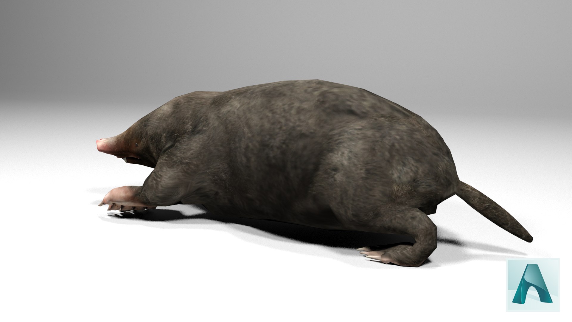 3D Mole - TurboSquid 1919133