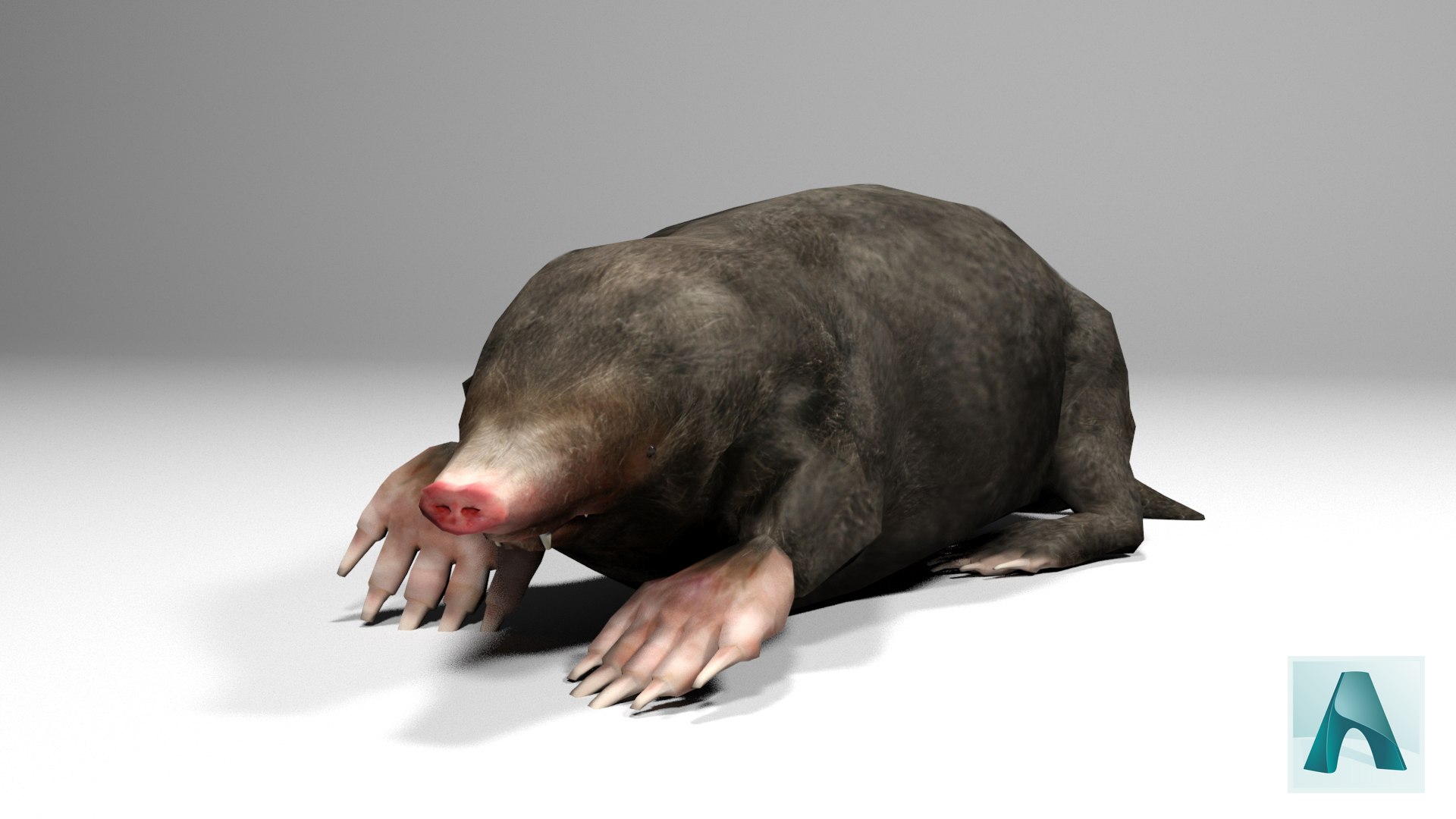 3D Mole - TurboSquid 1919133