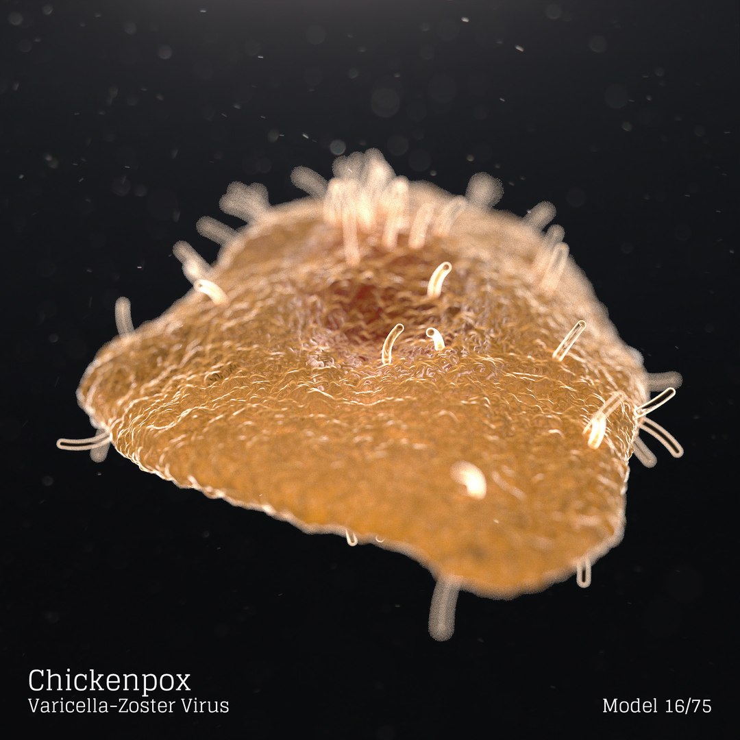 3D Microbes Bacteria - TurboSquid 1626179