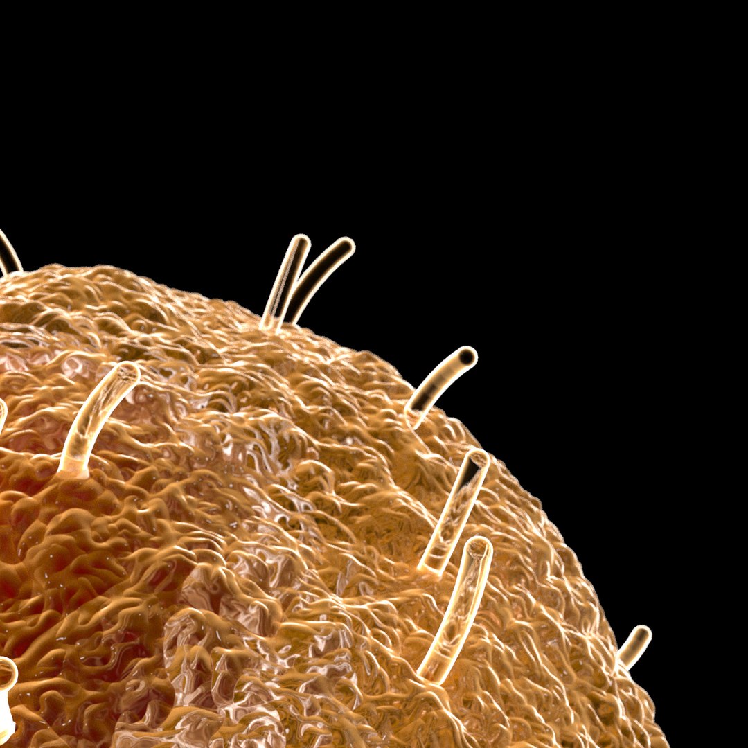 3D Microbes Bacteria - TurboSquid 1626179