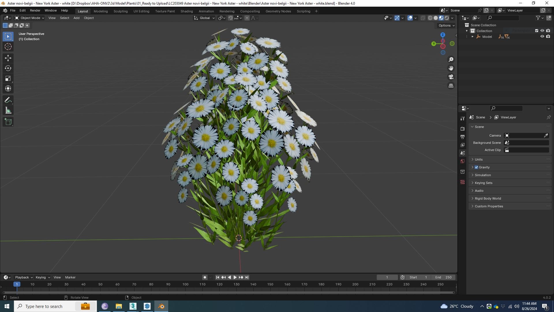 Aster Novi-belgii - New York Aster - White 3D Model - TurboSquid 2273055