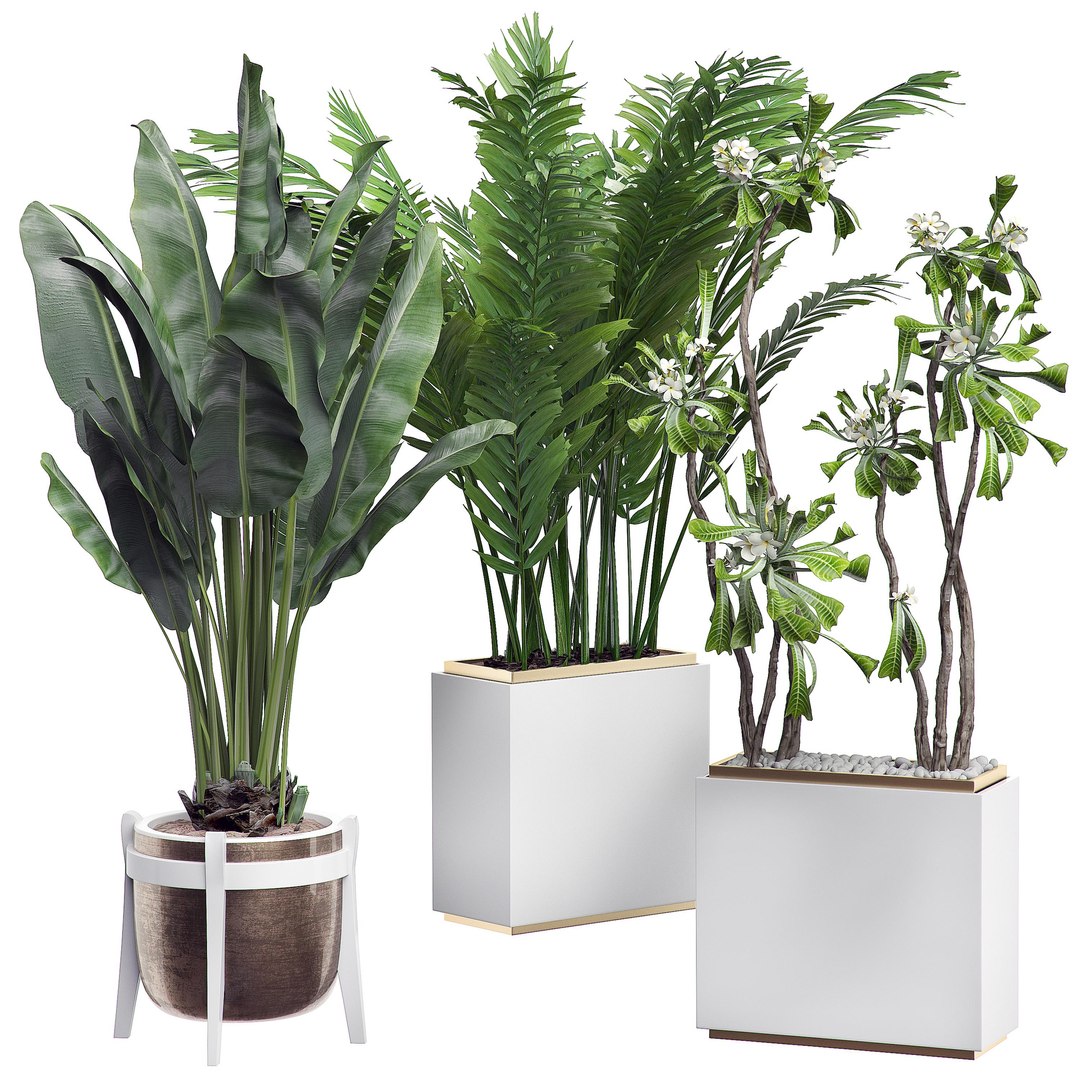 3D Potted Plants Set 14 - TurboSquid 1560360