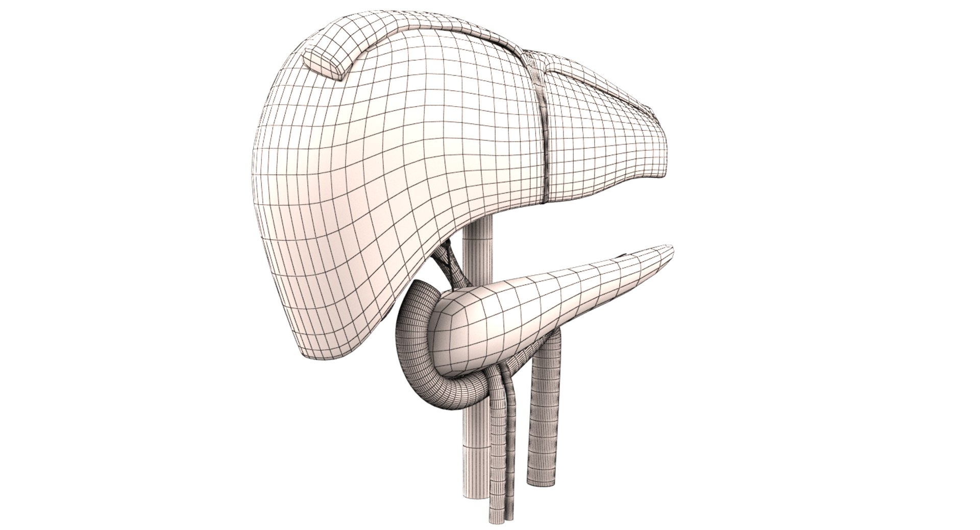 3D Model Realistic Organs Liver - TurboSquid 1178686