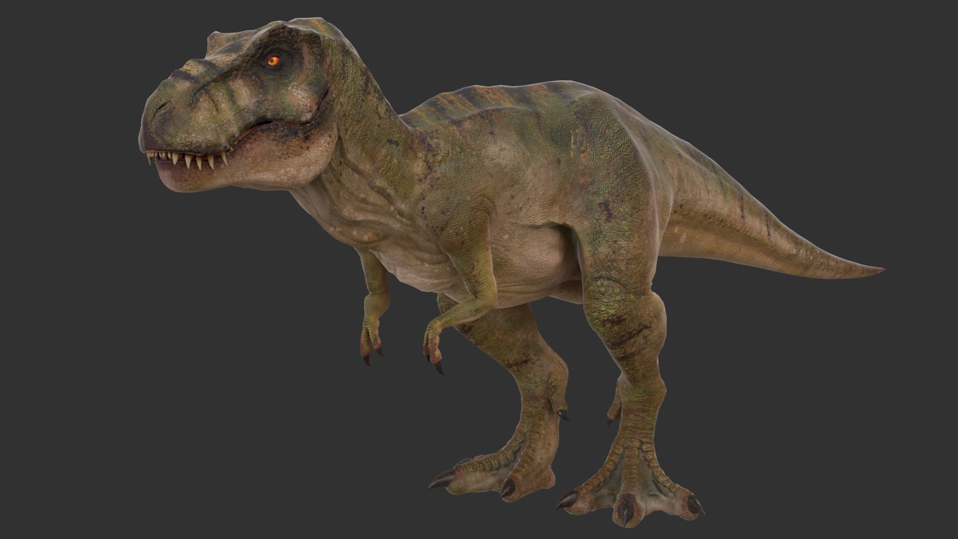 3D Jurassic Park Tyrannosaurus Rex Blender Low-poly Model - TurboSquid 1726855