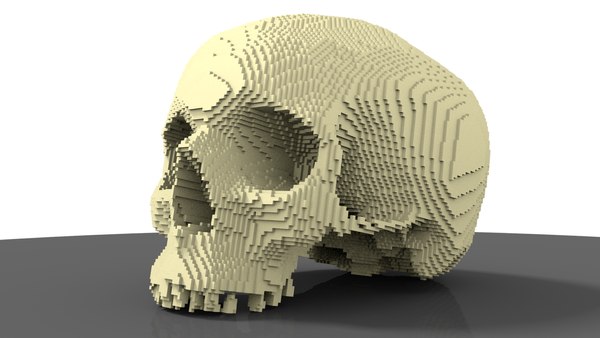 3D skull voxels - TurboSquid 1758634