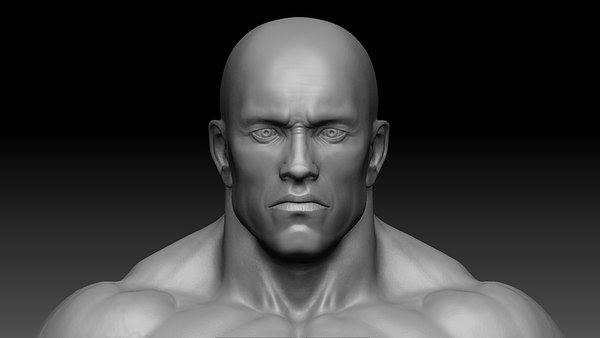 3d model muscular male body
