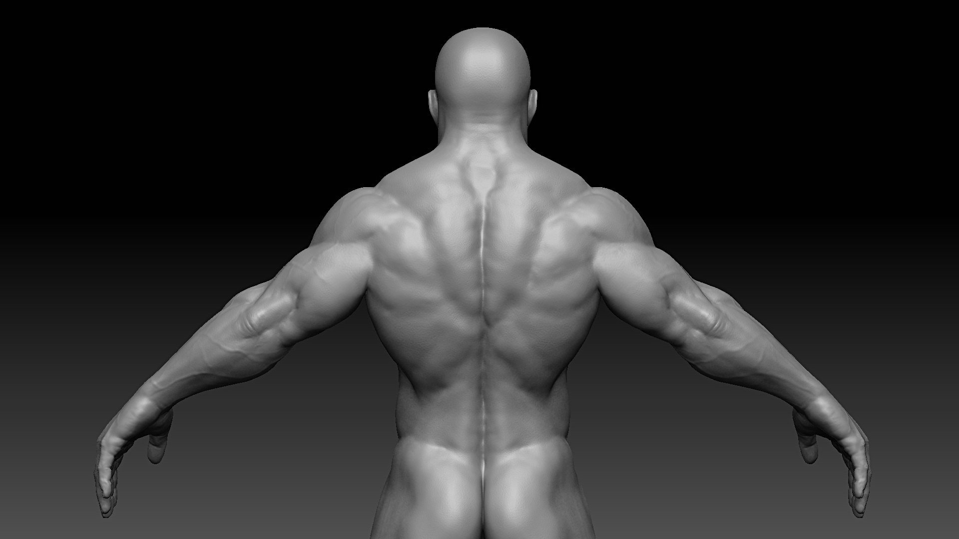 3d Model Muscular Male Body