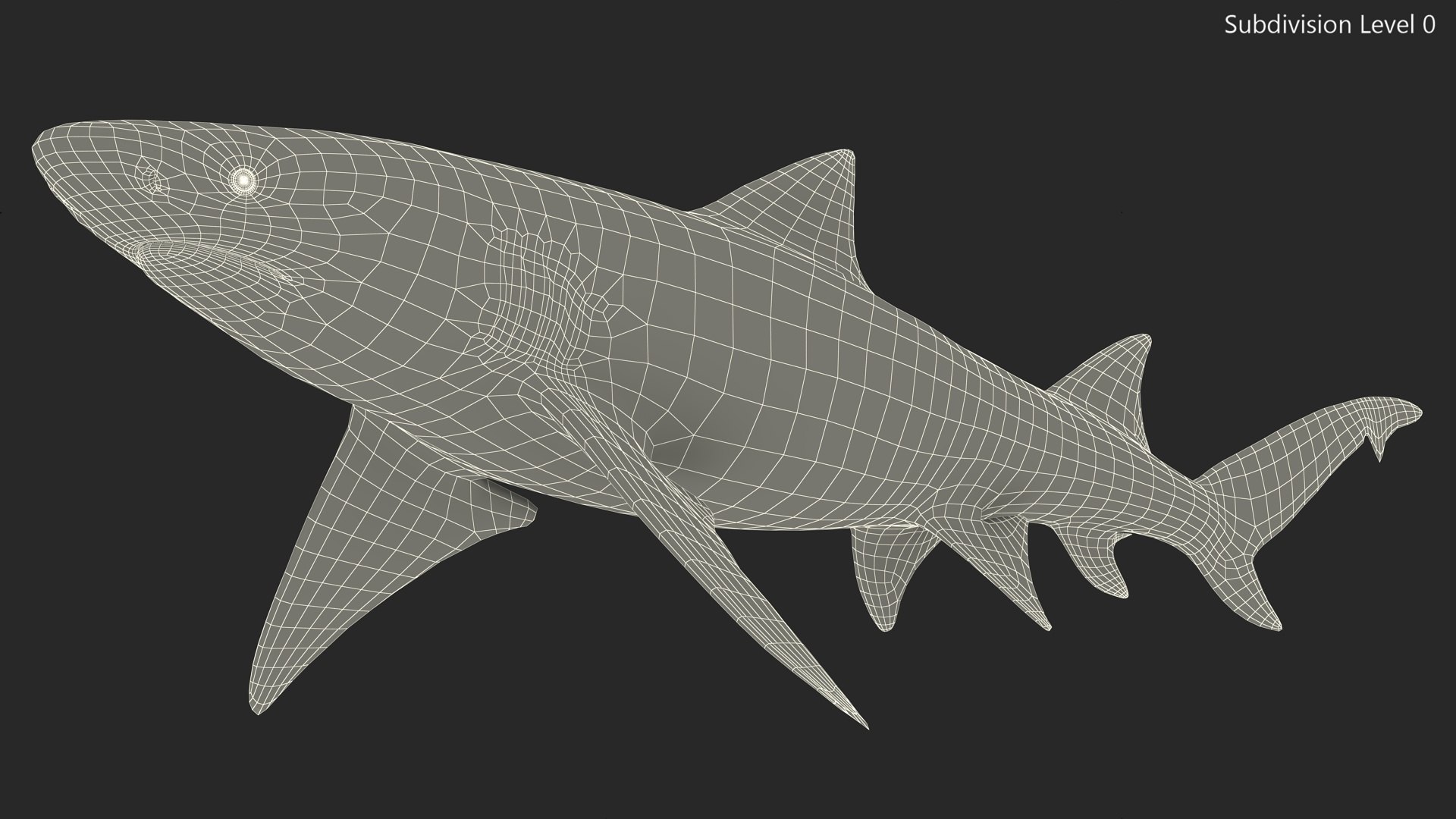 Sharptooth Lemon Shark Rigged 3D Model - TurboSquid 2267431