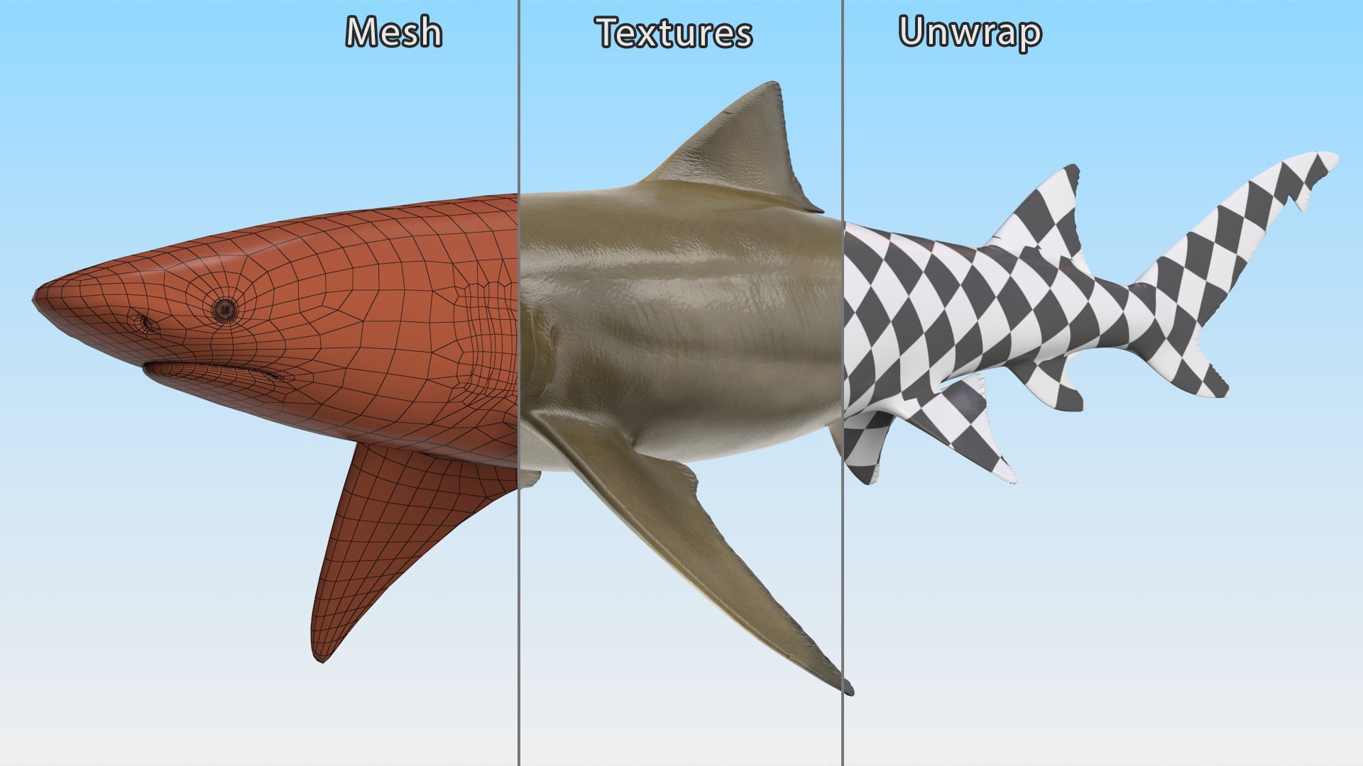 Sharptooth Lemon Shark Rigged 3D Model - TurboSquid 2267431