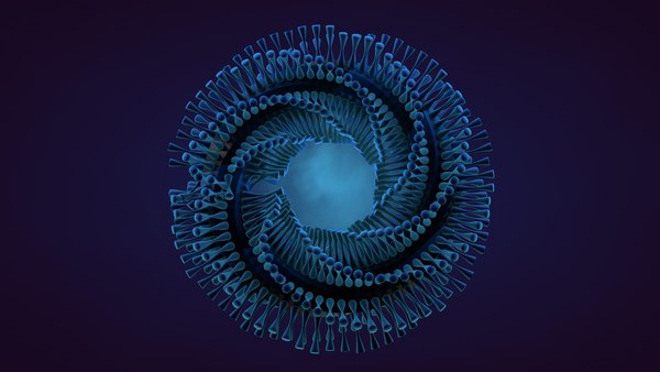 3D abstract animation - TurboSquid 1677663