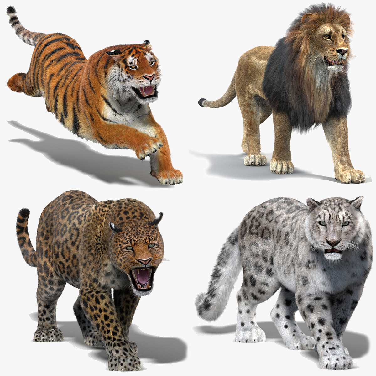 3D model big cats fur - TurboSquid 1328328