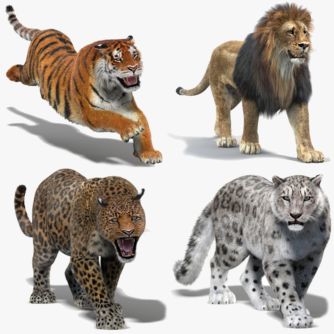 3D model big cats fur - TurboSquid 1328328