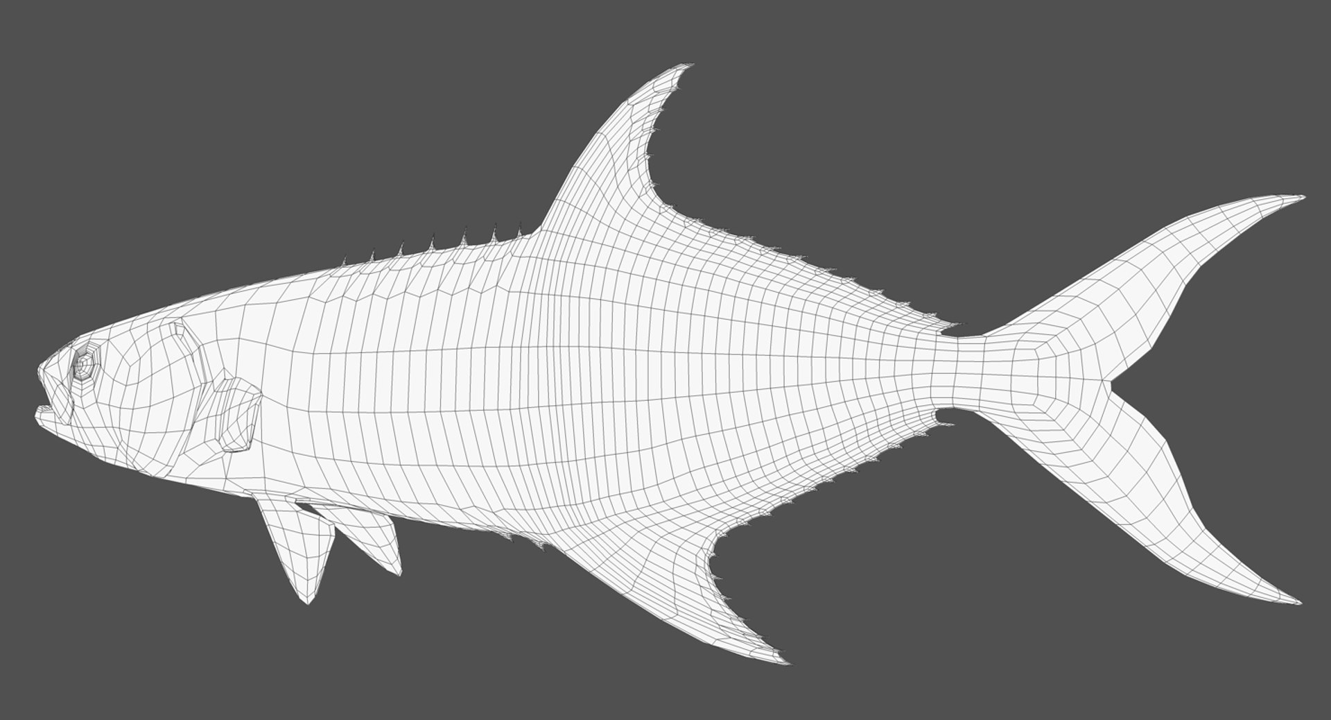 Leerfish 3D Model - TurboSquid 1312457