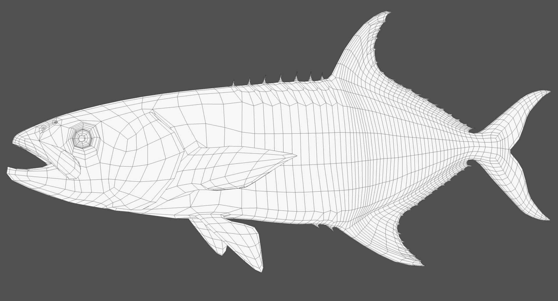 Leerfish 3D Model - TurboSquid 1312457