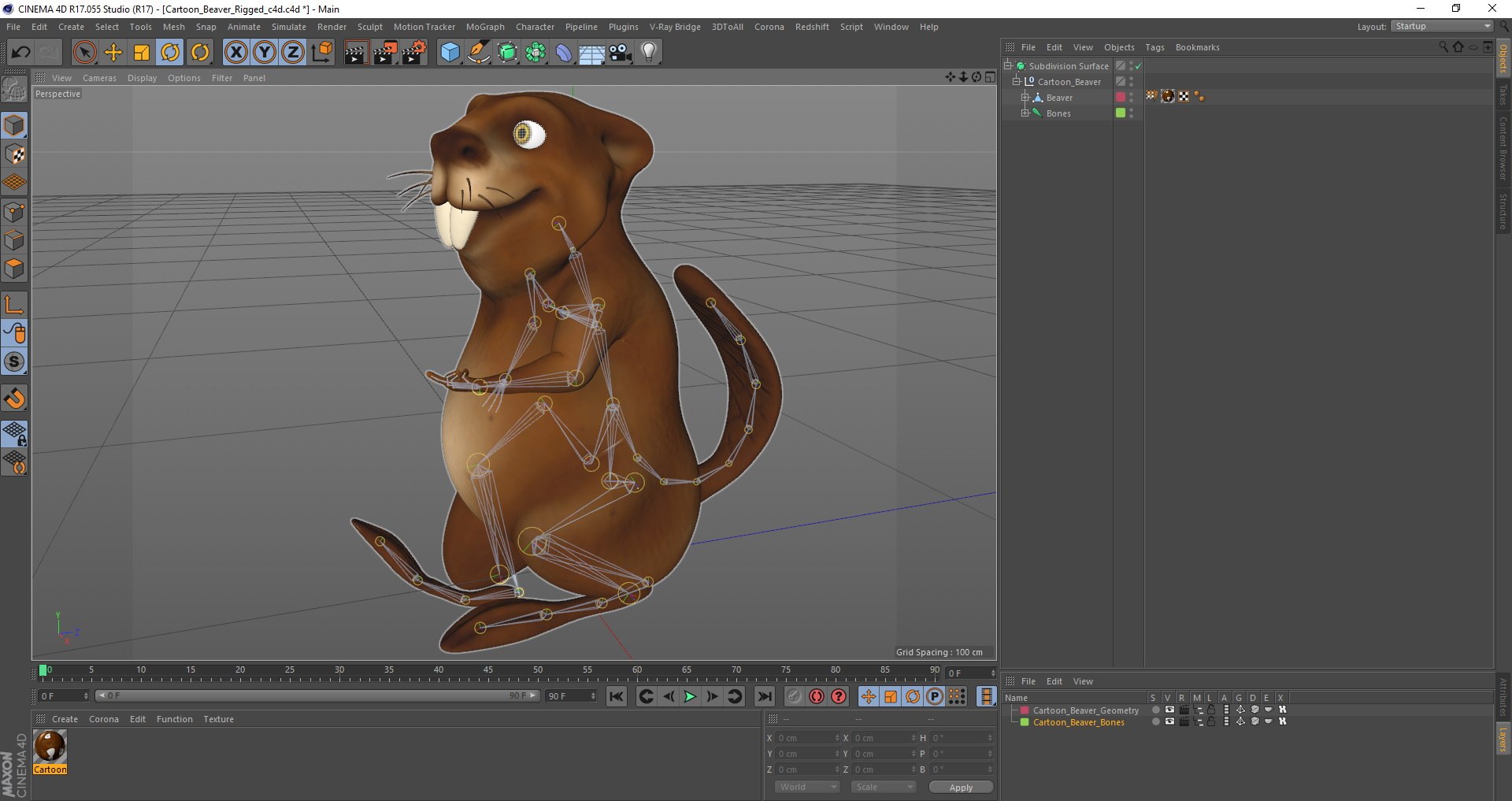 Cartoon Beaver Rigged for Cinema 4D 3D - TurboSquid 1861981