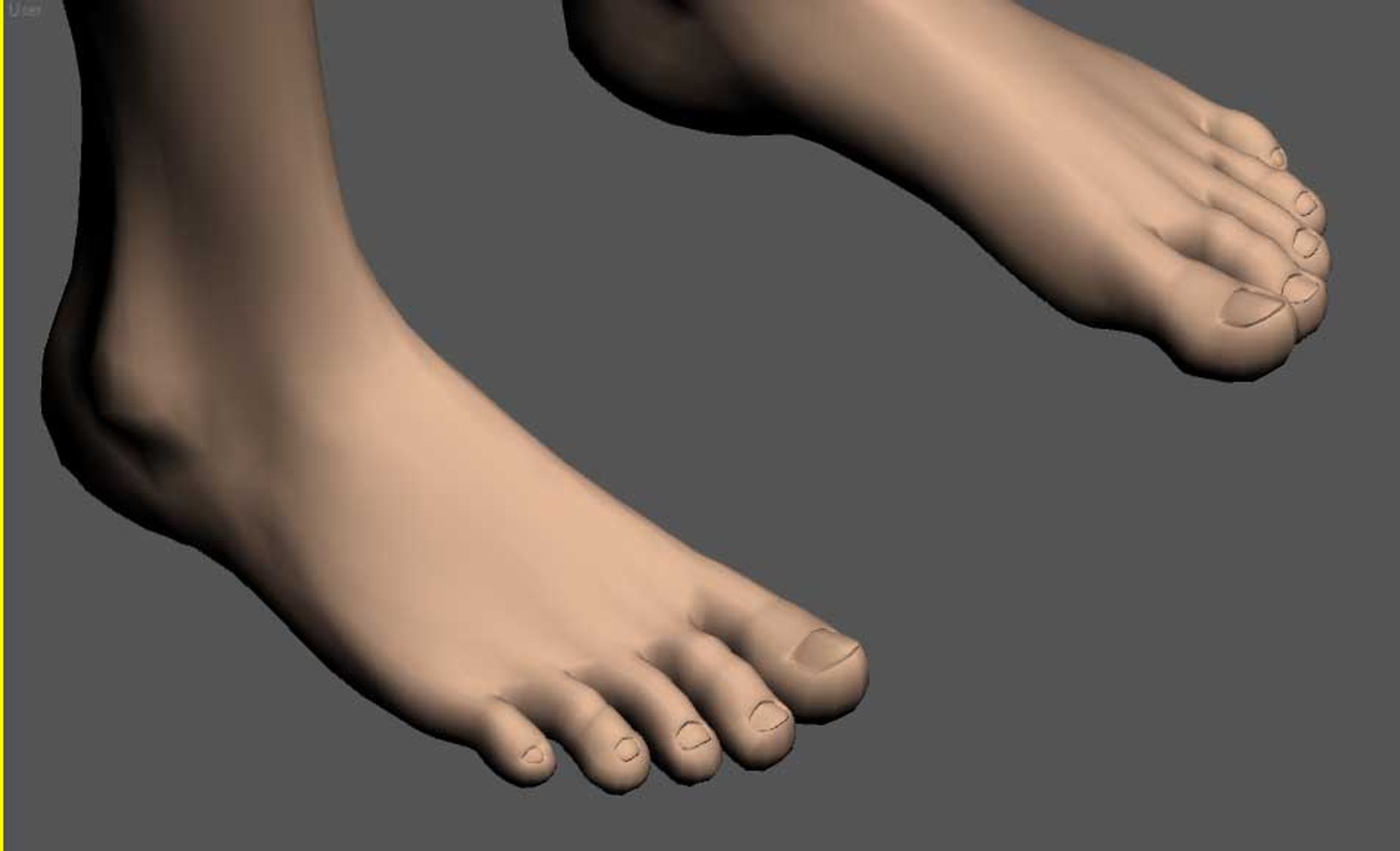 Body Face 3d Max
