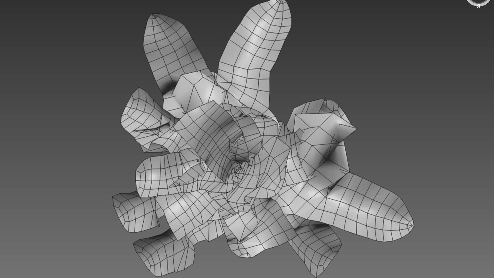 Medicago Polymorpha 3D Model - TurboSquid 1827918