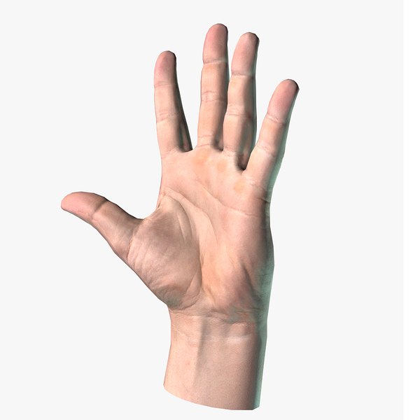 Workman Mining Safety Glen Hi Vis 자켓 3D 모델 - TurboSquid 1336529