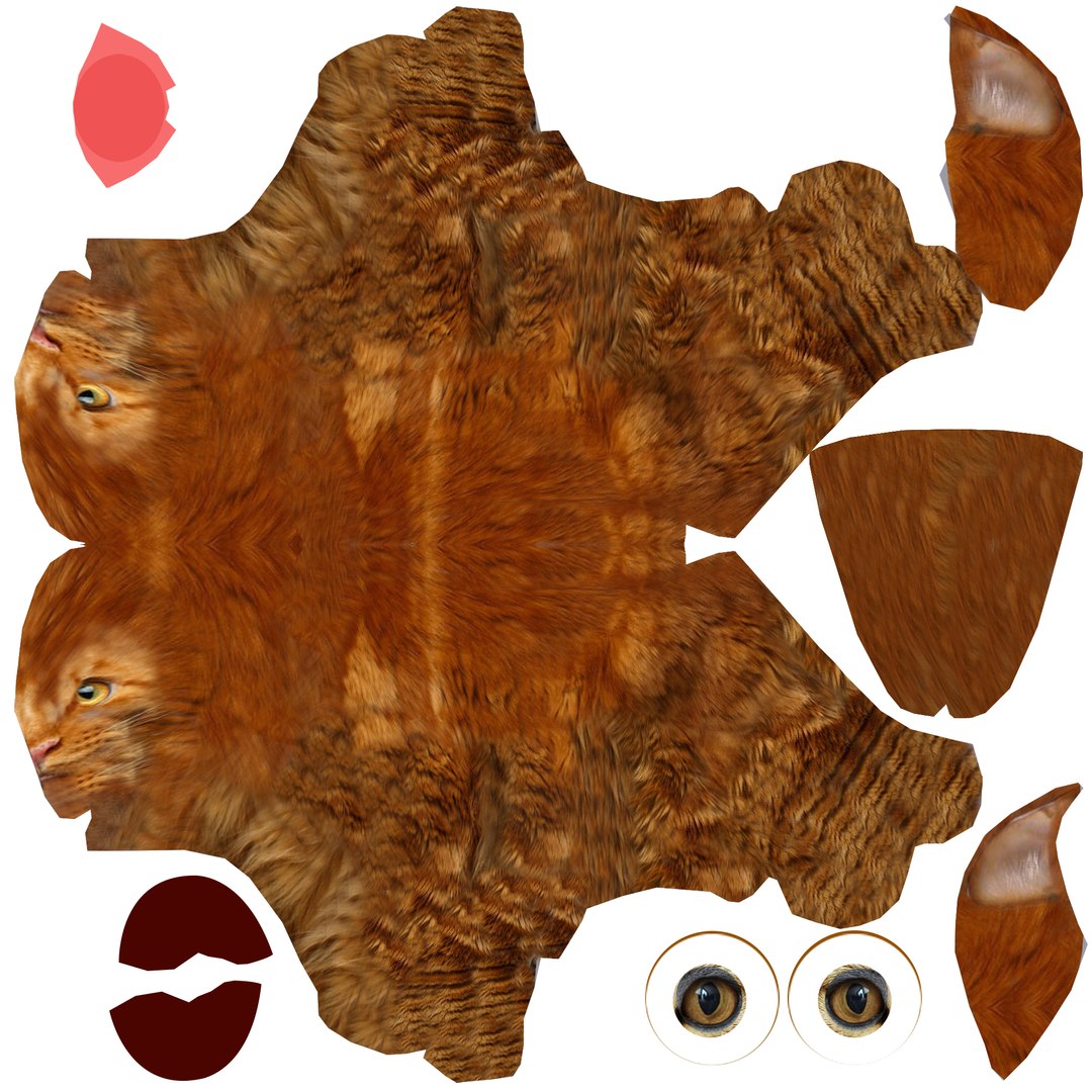 Cute cat model - TurboSquid 1220899