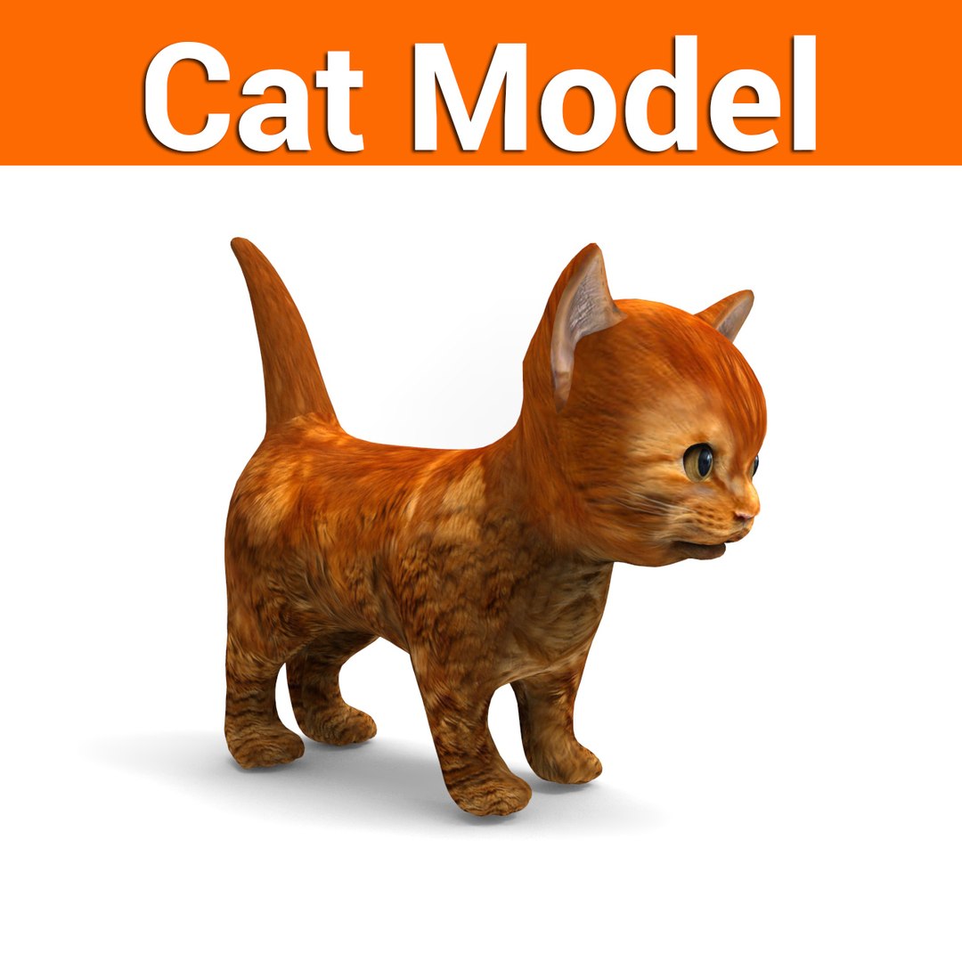 Cute cat model - TurboSquid 1220899