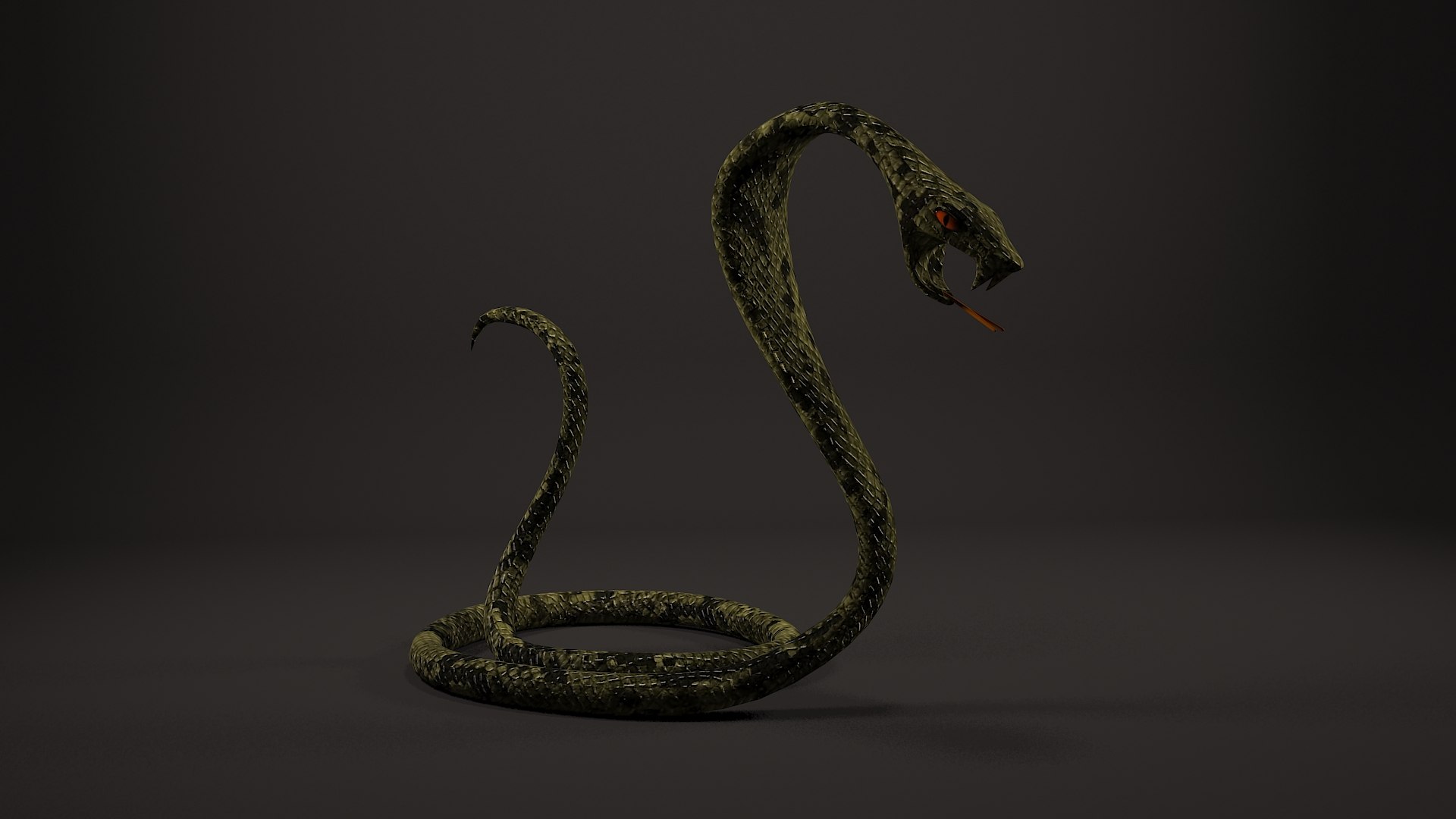 Snake 3D Model - TurboSquid 1161112