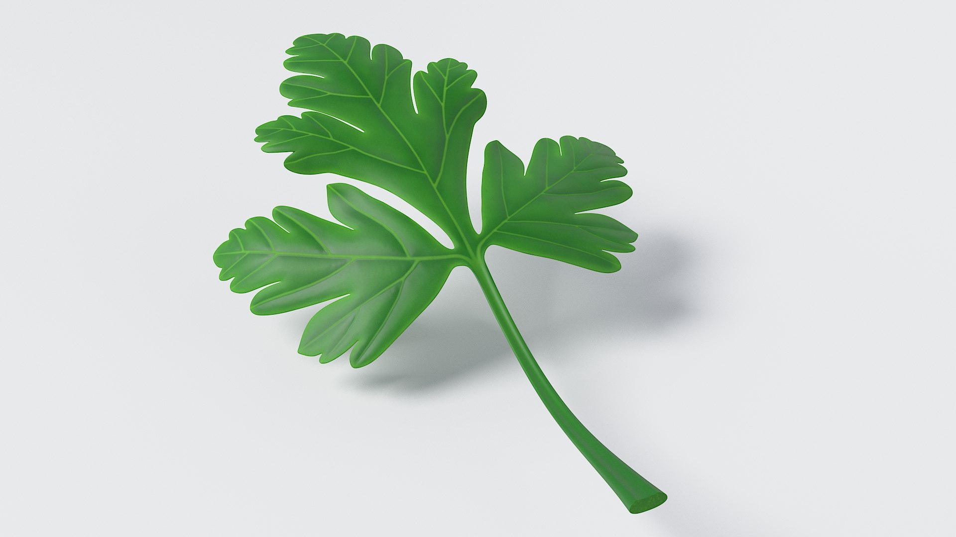 3D Cartoon Parsley Model - TurboSquid 2070398