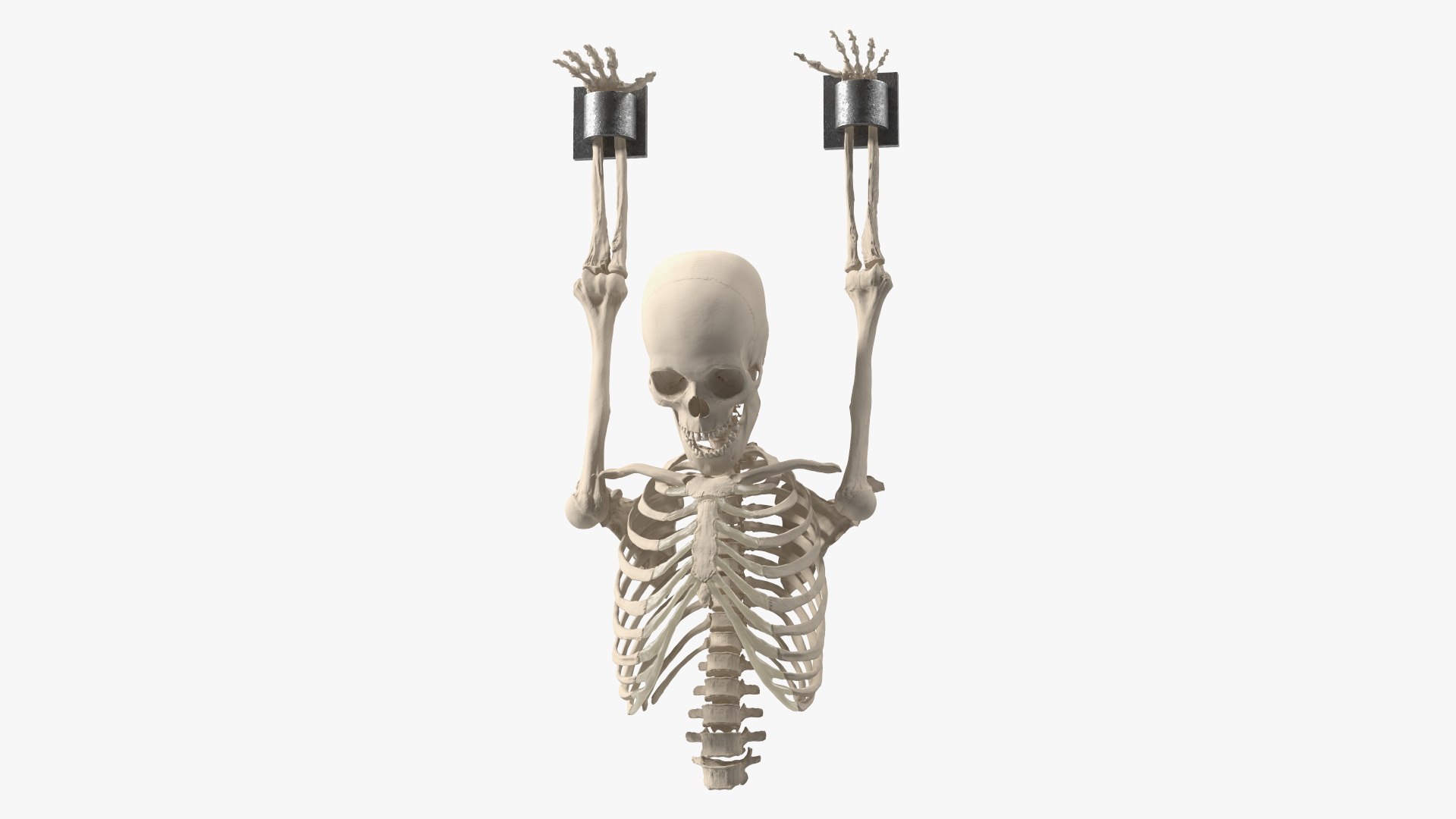 Human Male Remains Skeleton Shackled model - TurboSquid 2113224
