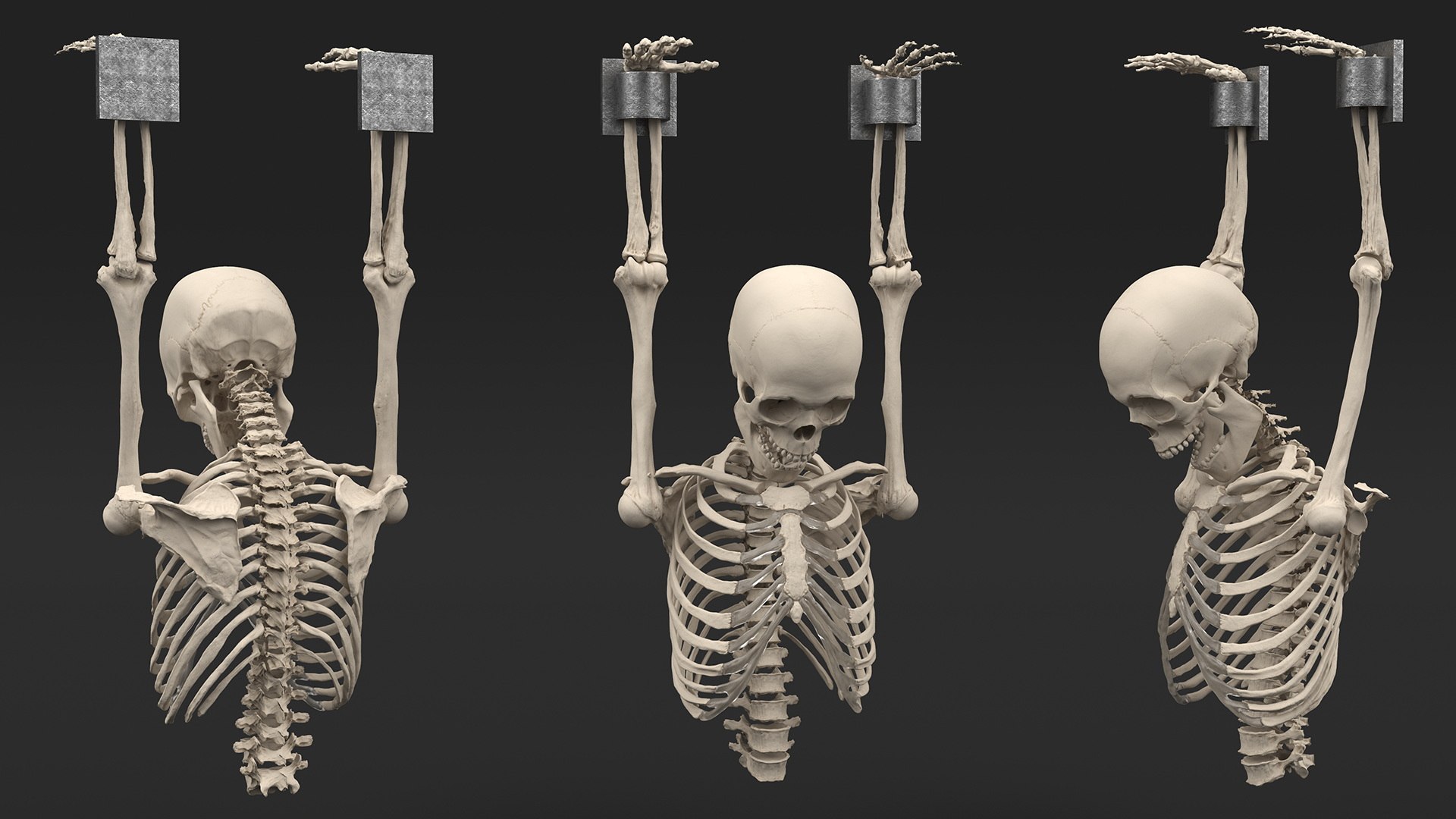 Human Male Remains Skeleton Shackled Model - TurboSquid 2113224