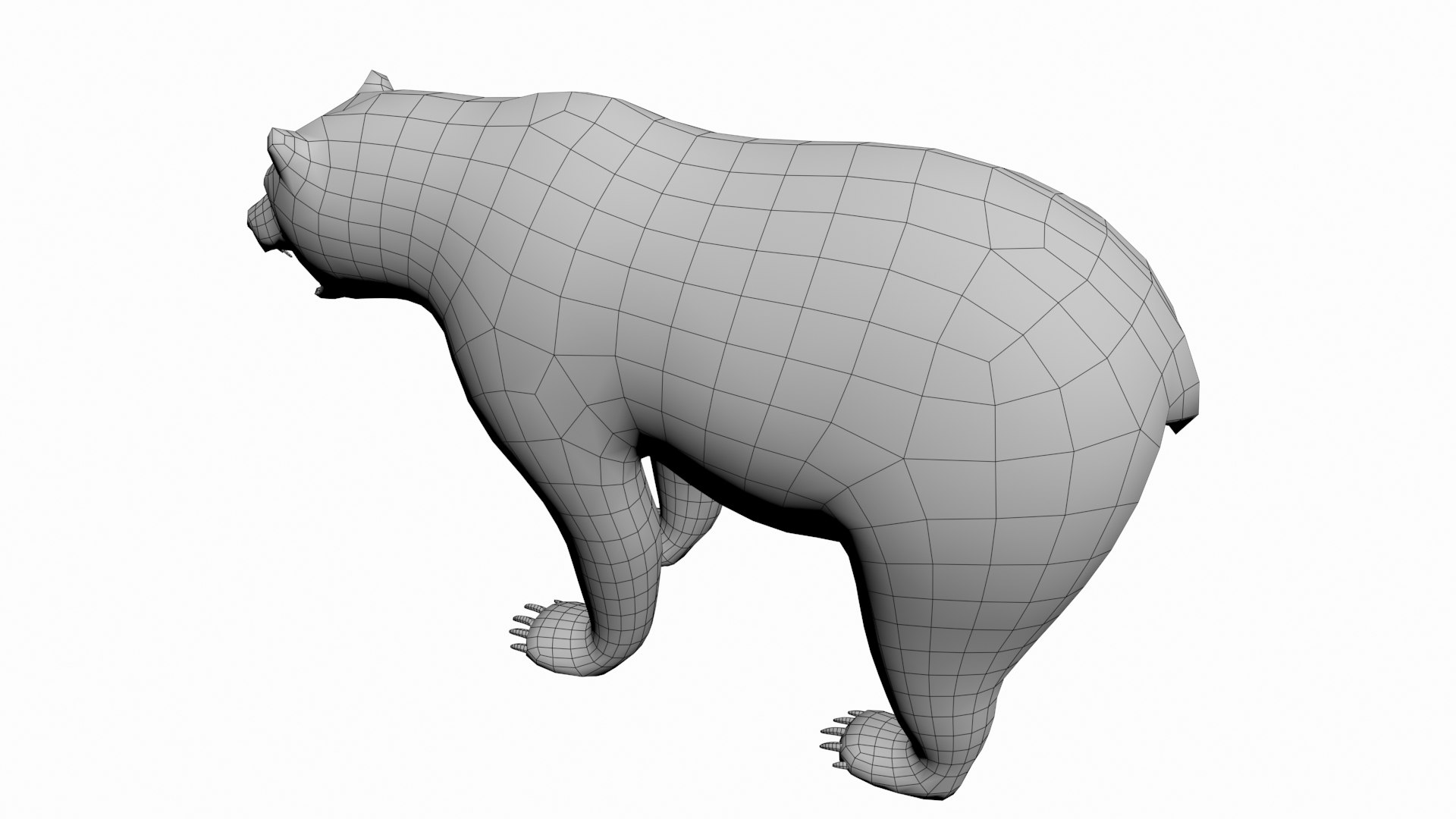Bear Base Model 3D Model - TurboSquid 1782281