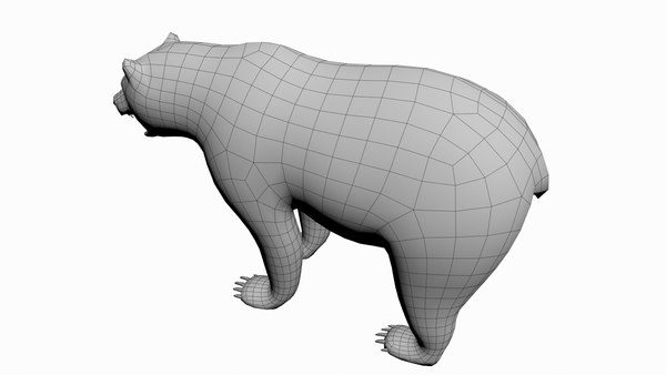Bear base model 3D model - TurboSquid 1782281