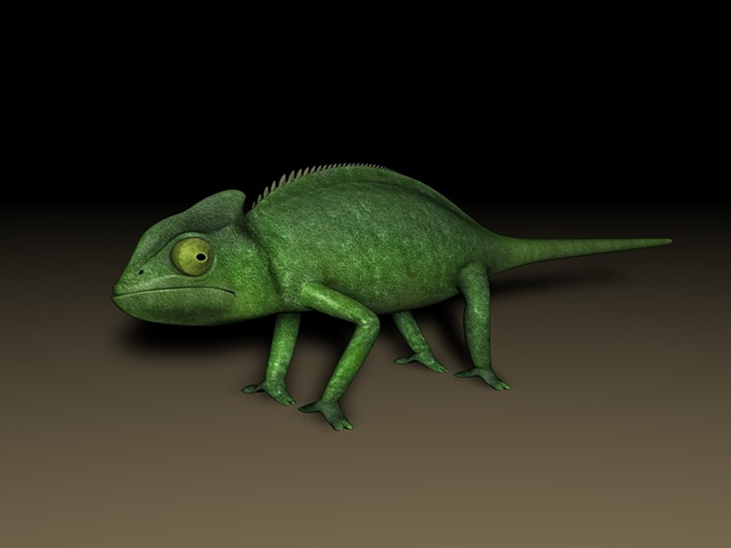 Chameleon Animation 3d Model