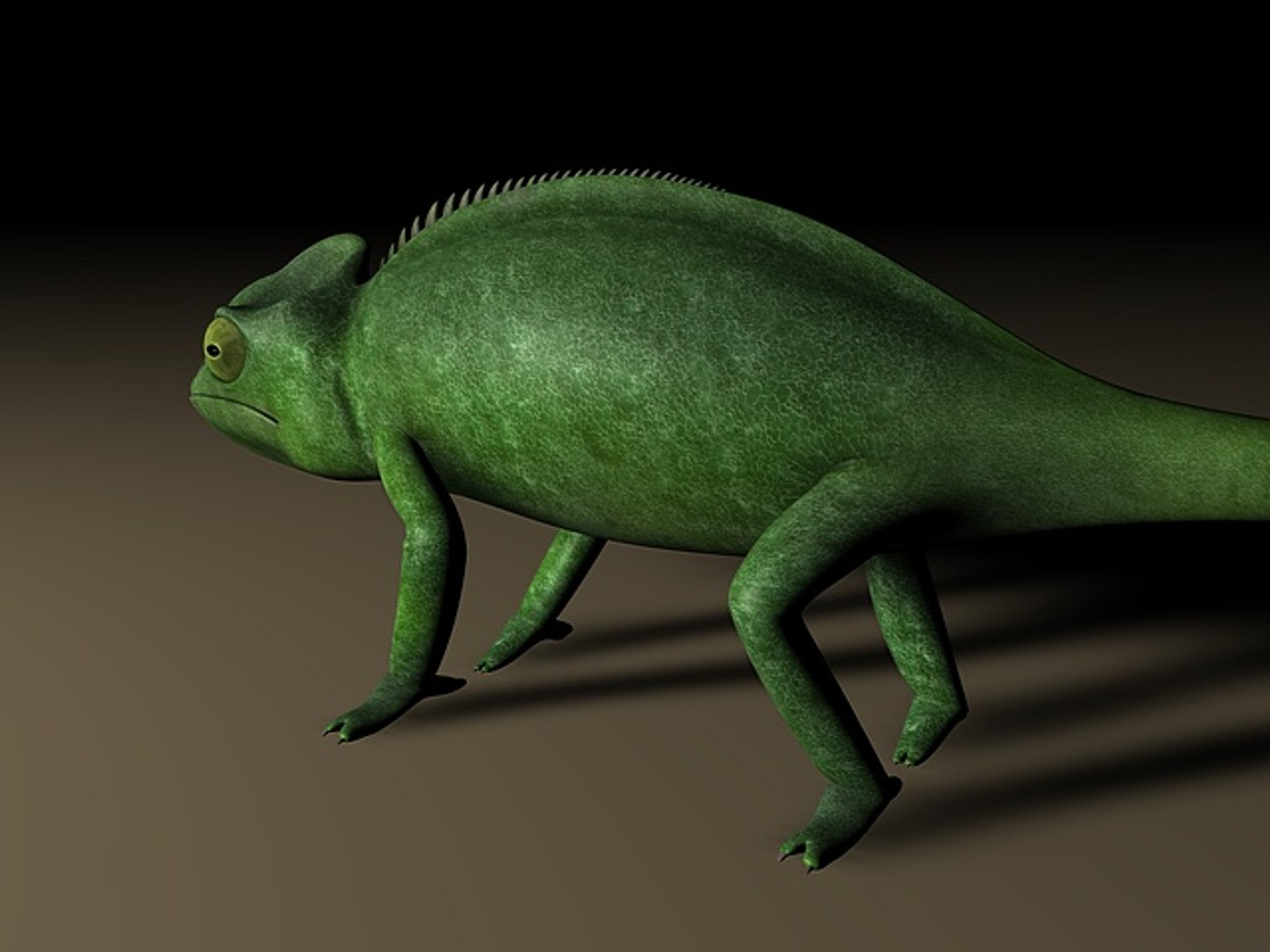 Chameleon Animation 3d Model