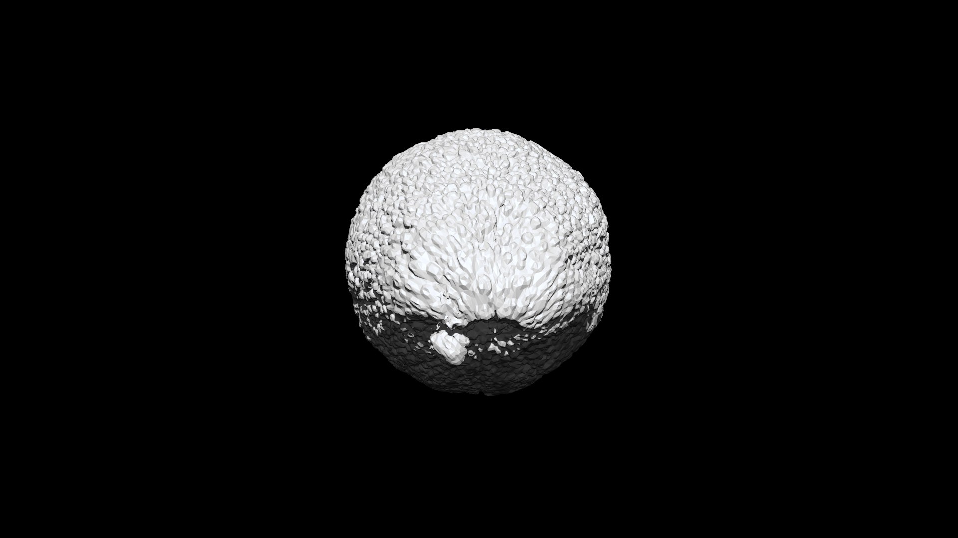 3D Model Avocado 3D CT Scan Model Decimate 5 Percent - TurboSquid 1932361