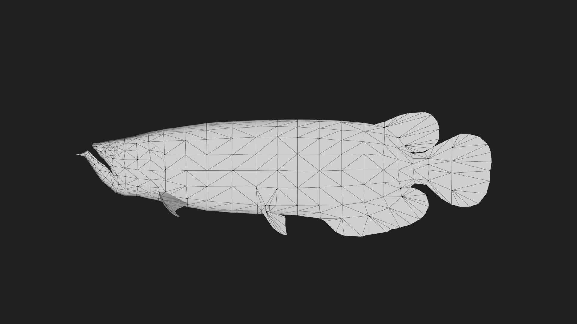 Arowana 3D Model - TurboSquid 2125419