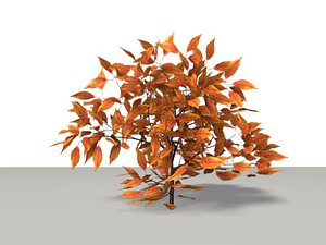 Plants Quickdraw 3D Models for Download | TurboSquid