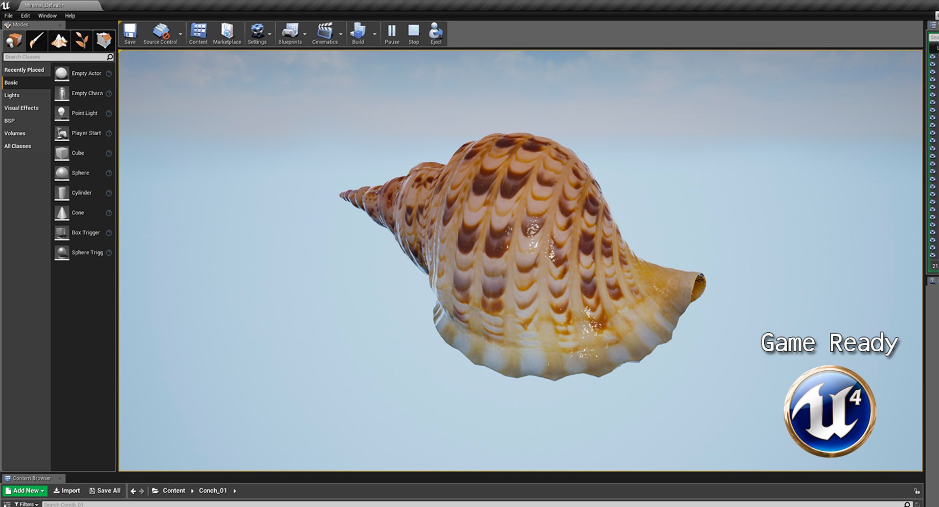 realistic conch 3d model