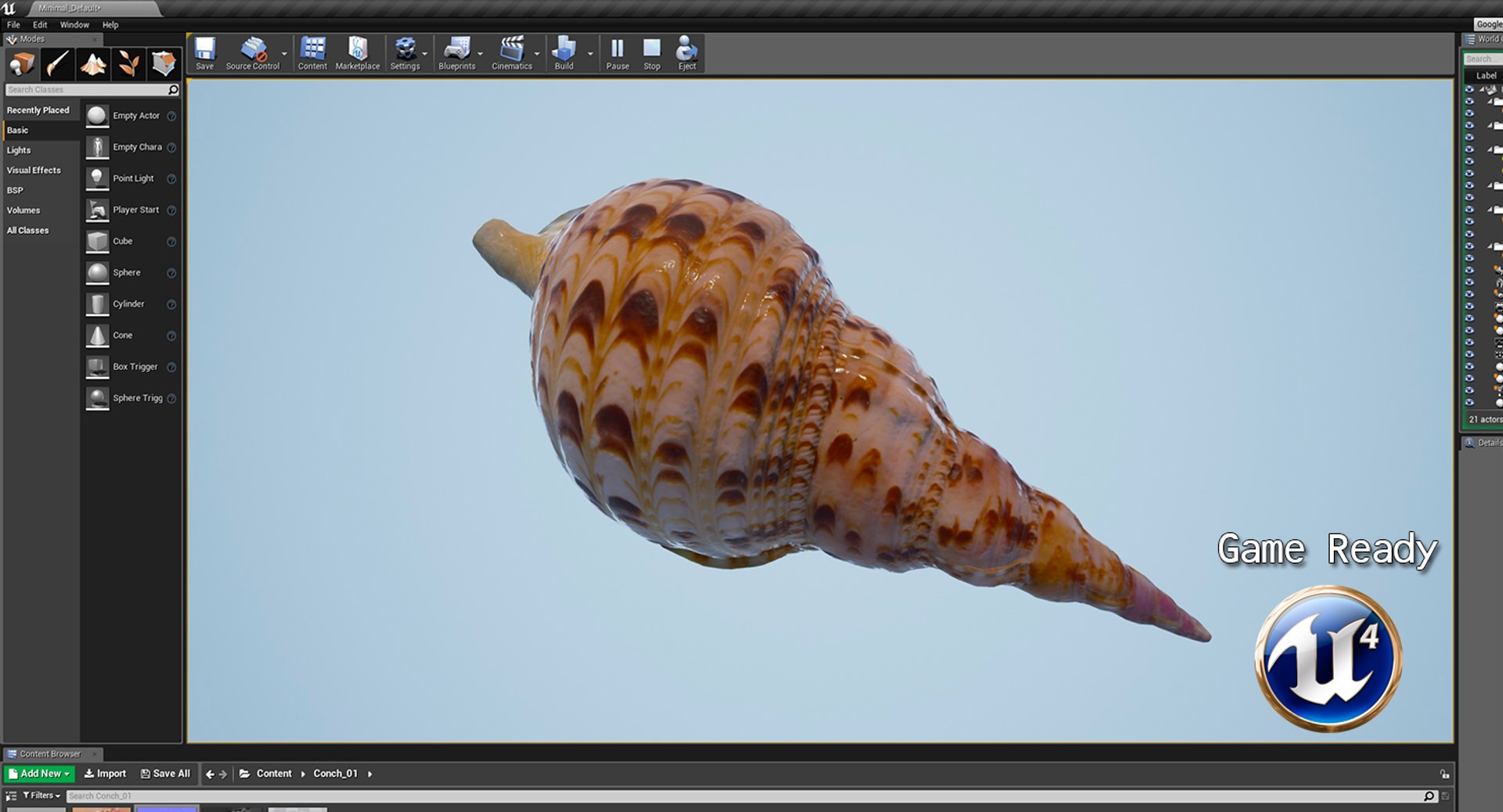 realistic conch 3d model