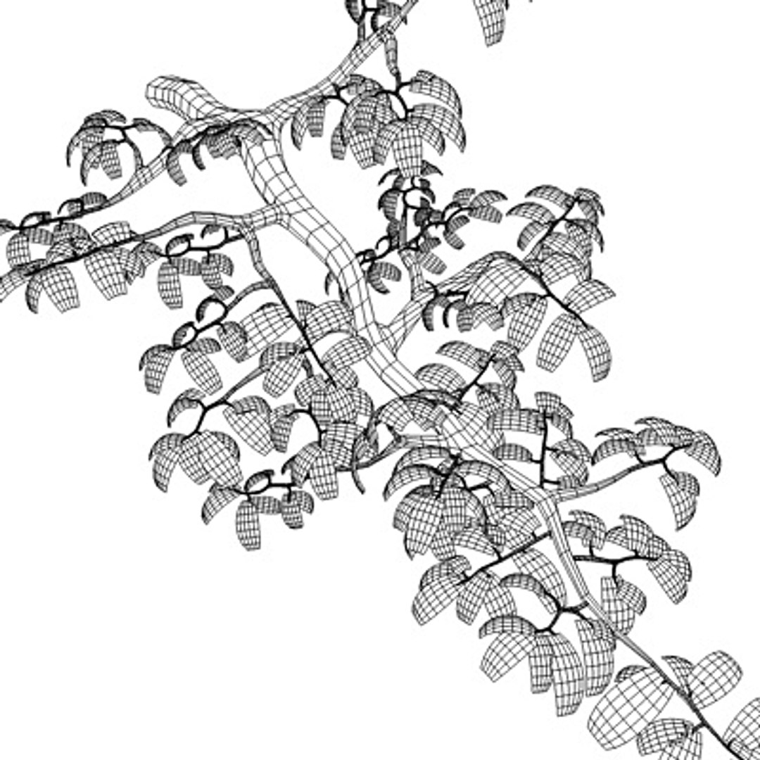 3d Model Tree Branch