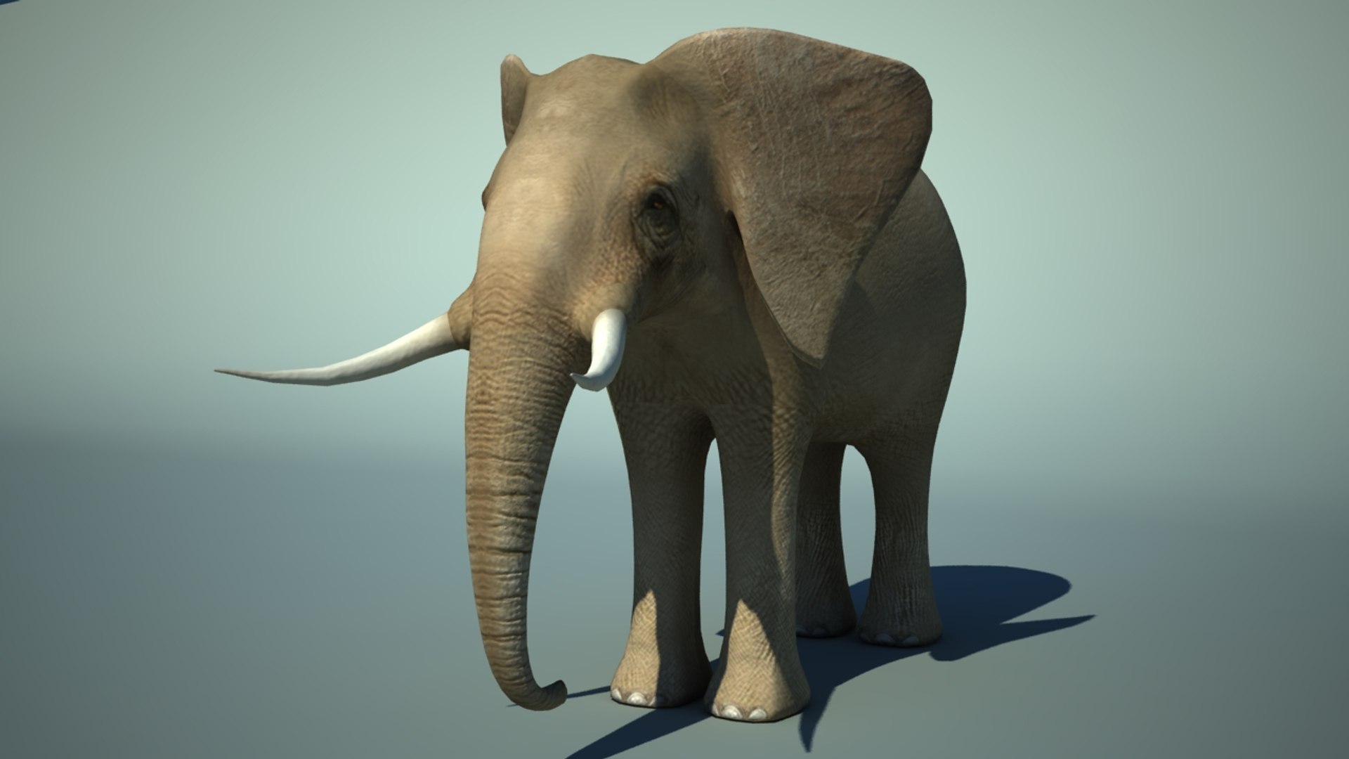 3D Elephant - TurboSquid 1203804