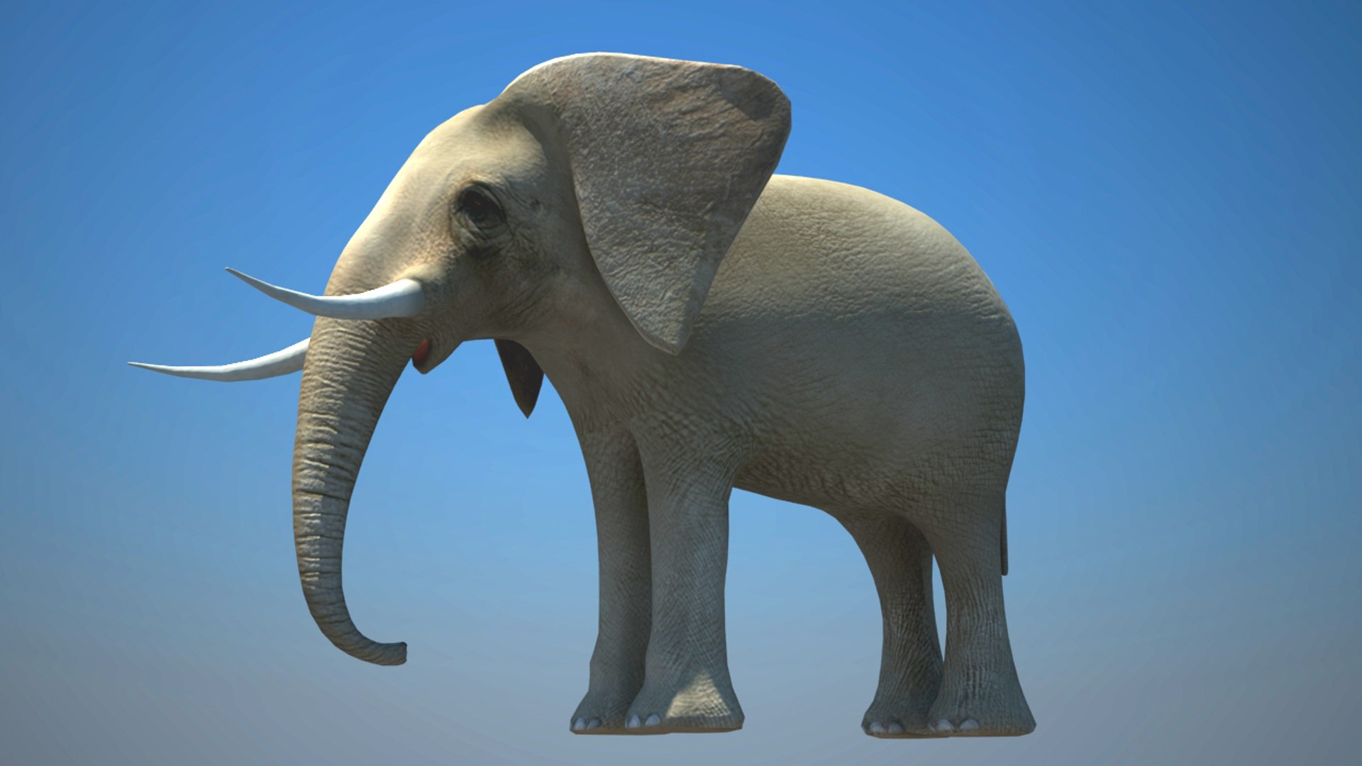 3D Elephant - TurboSquid 1203804