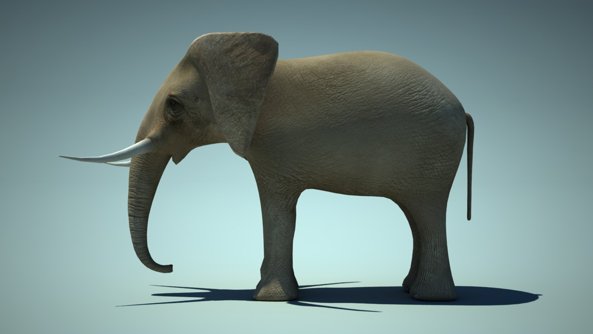 3D Elephant - TurboSquid 1203804